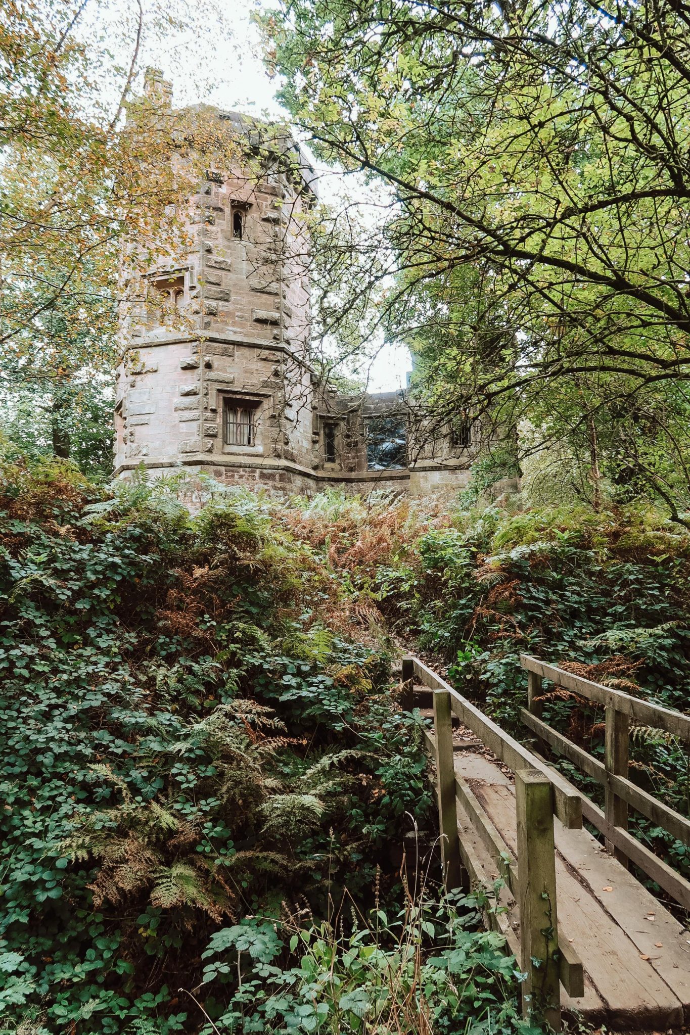 Knypersley Reservoir dog walk with secret waterfalls and woodland ...