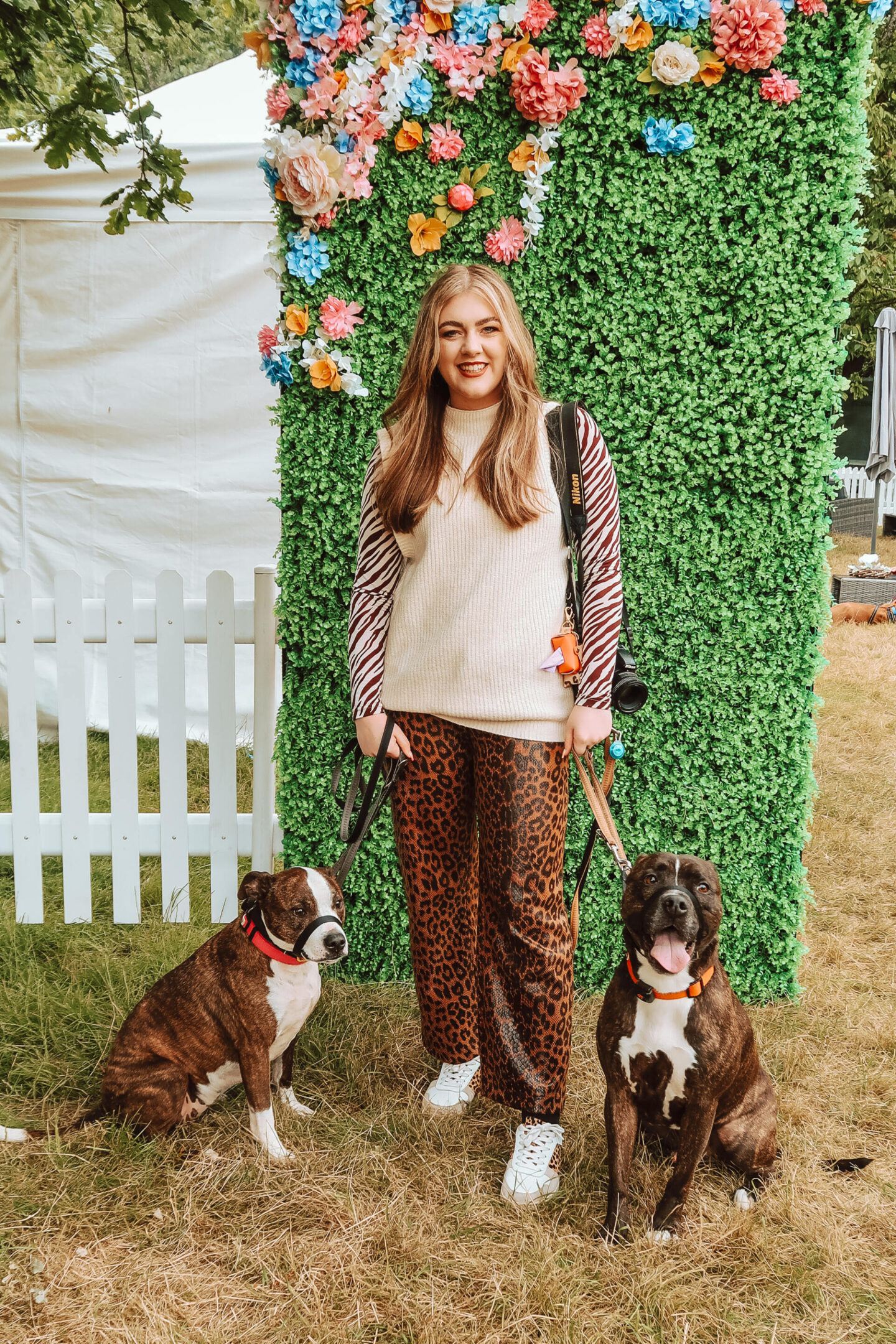 How we spent our first ever DogFest at Tatton Park - Lady & the Scamps