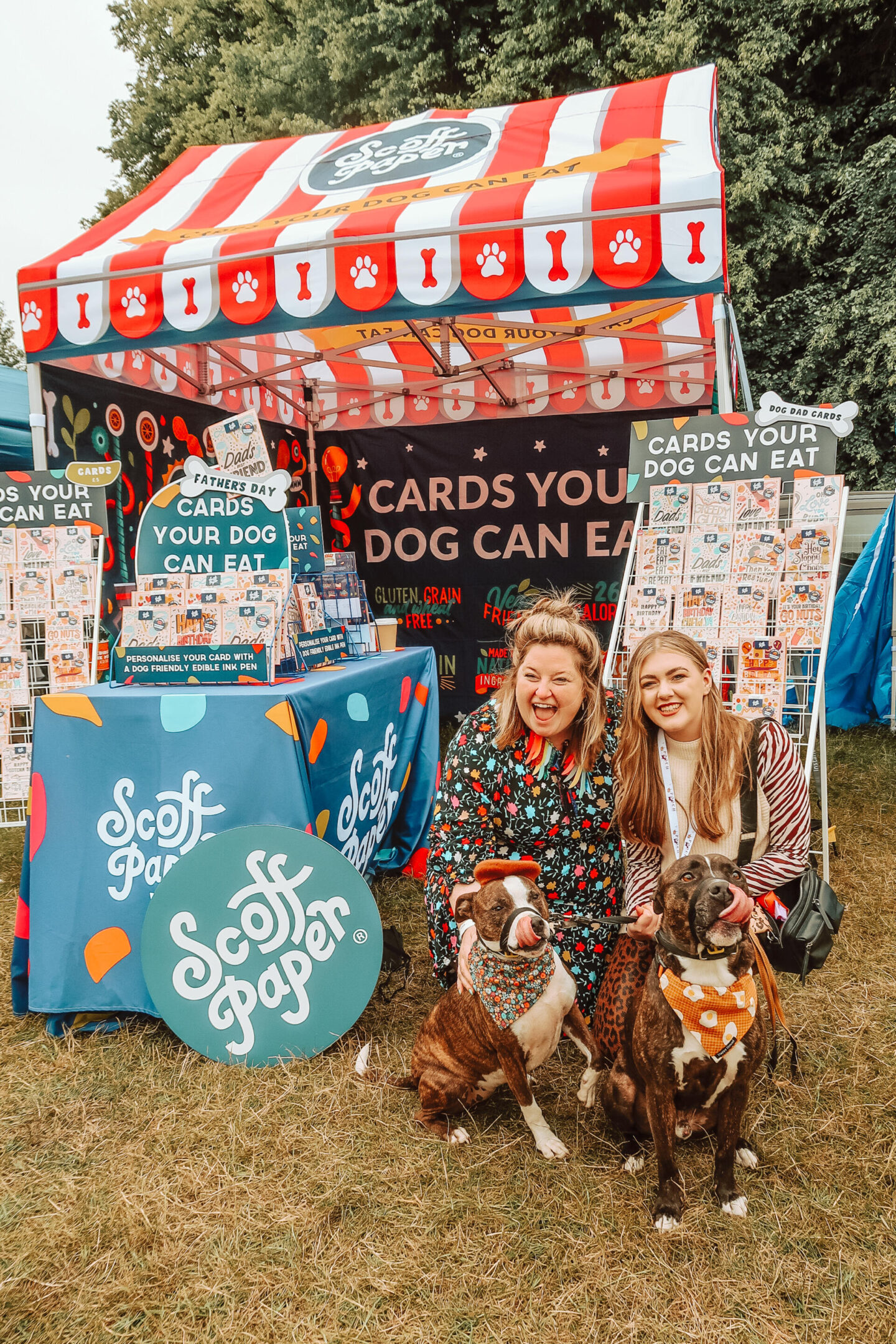 Six reasons we can’t wait for DogFest 2023 at Tatton Park - Lady & the ...