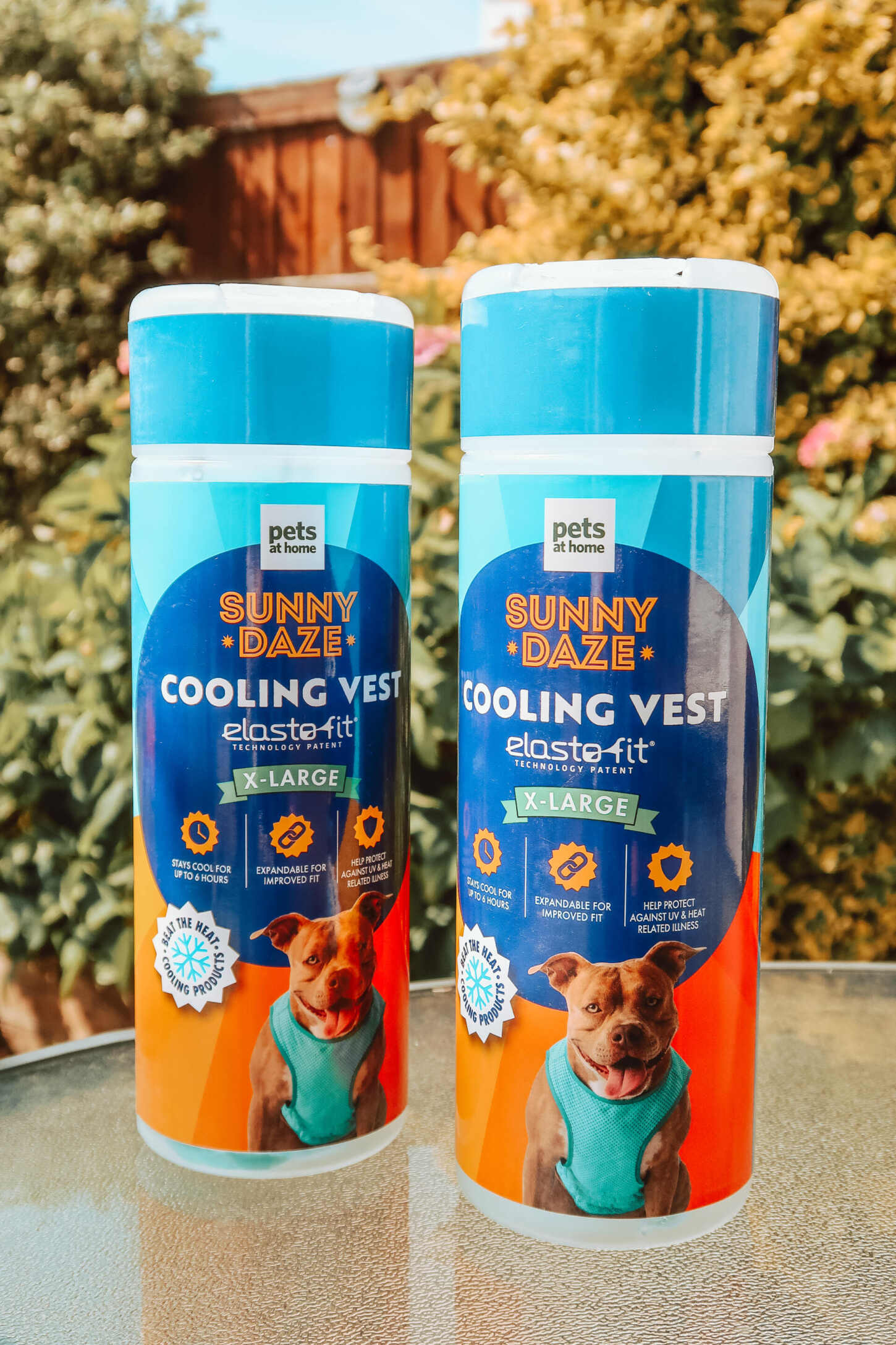 Pets At Home Cooling Vests That Help Dogs Beat The Heat Lady The Scamps Pets At Home Cooling Vests That Help Dogs Beat The Heat Lady The Scamps