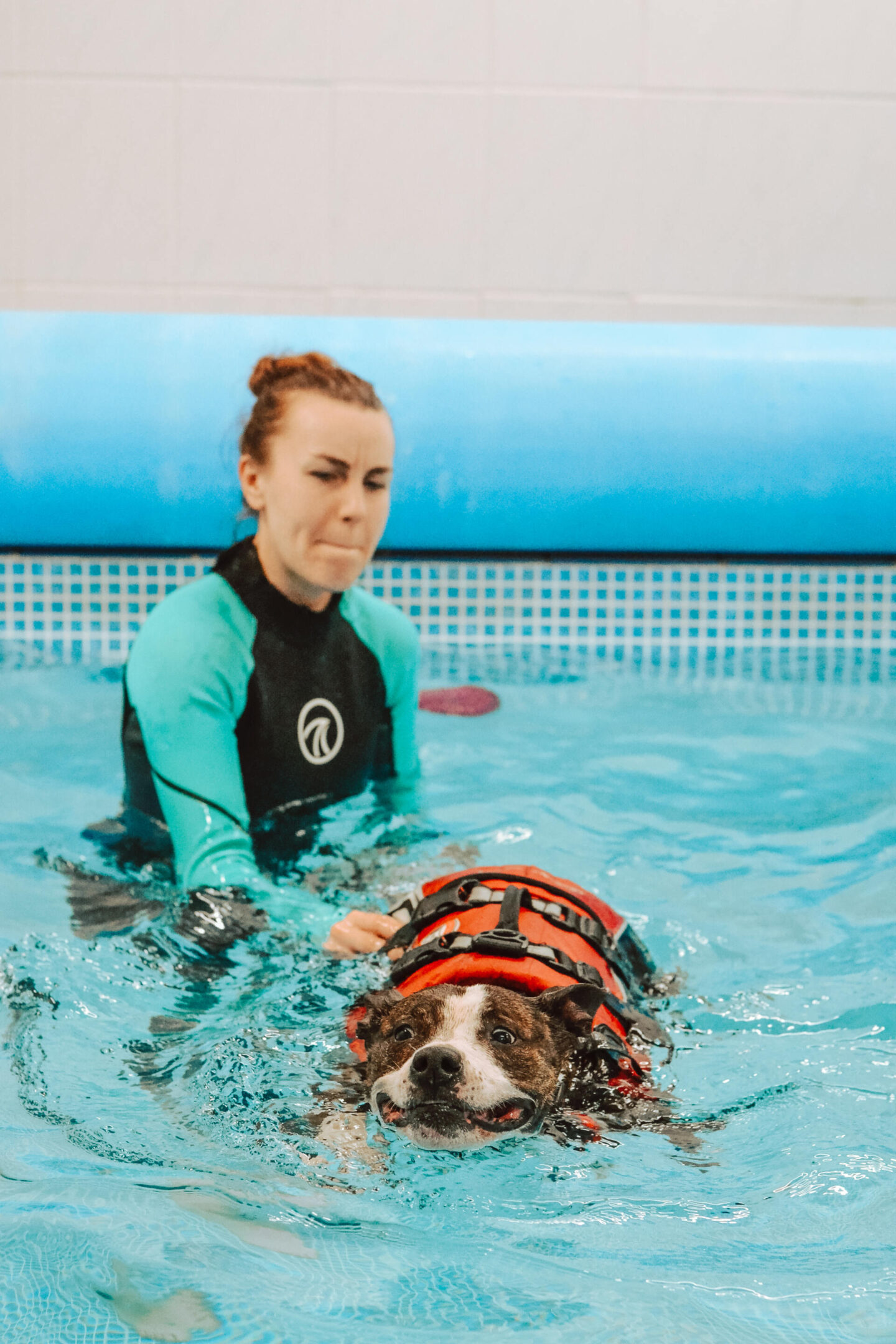 What happened when we tried hydrotherapy for dogs for the first time at ...