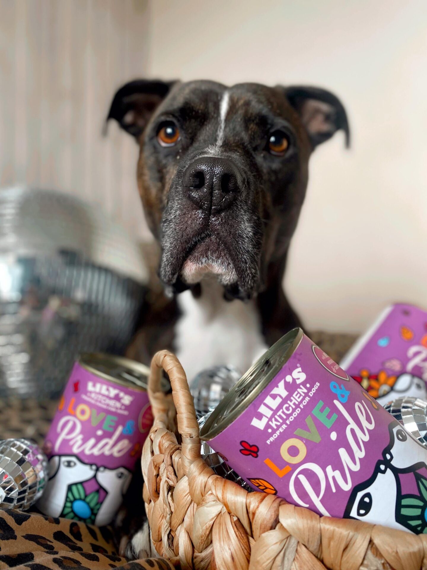 How our dogs can teach us about love as Lily's Kitchen launch Pride recipe
