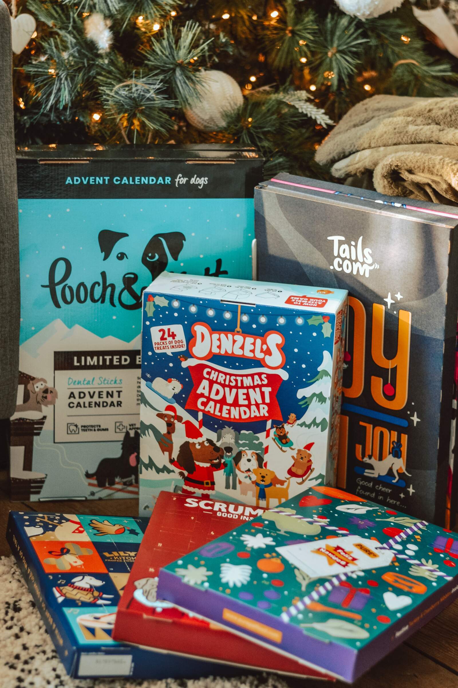 Six best advent calendars for dogs 2023 - Lady & the Scamps