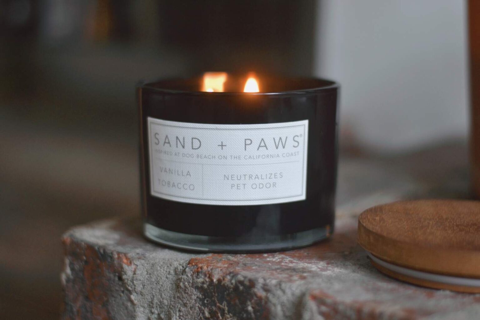 Sand and Paws pet friendly odour neutralising candles for under £10 at ...