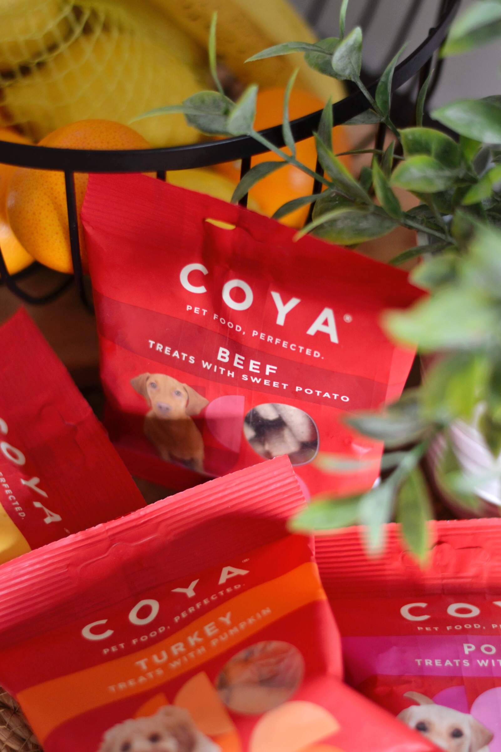 Why we love the Coya freeze-dried raw treats from Pets at Home - Lady ...